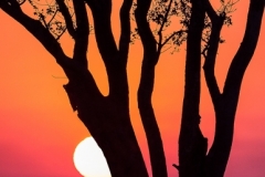 Chichester Camera Club – Patron: The Right Worshipful Mayor of ...